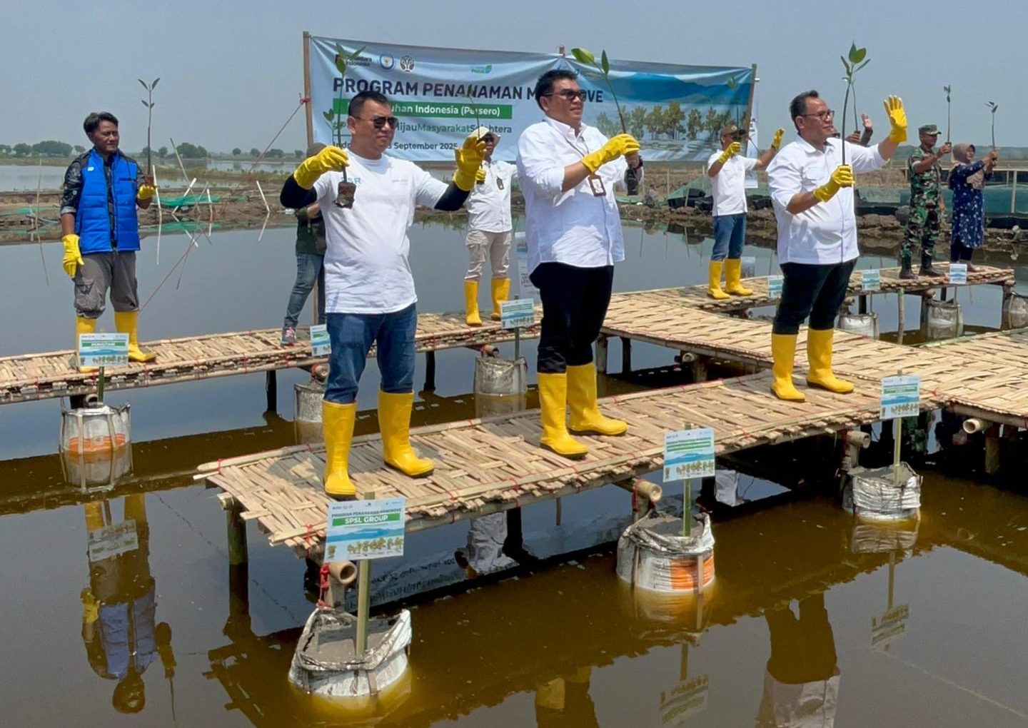 Dukung Net Zero Emission, PT MMI Tanam 134,5 Hektar Mangrove - Deretan